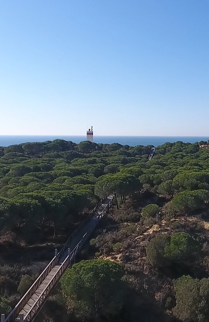 Parque Nacional - Turismo de Almonte